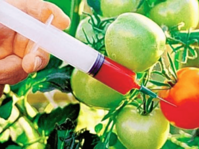Adulteration And Causes Of Food Adulteration Agriculturegoods