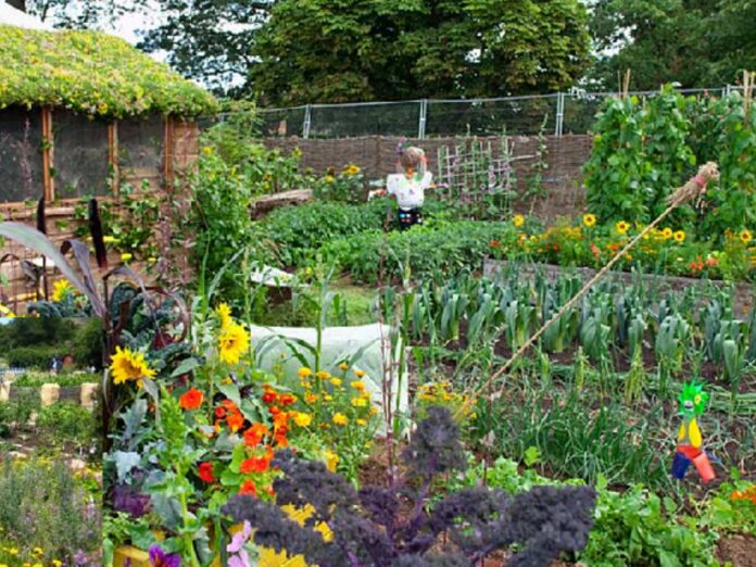List Of Benefits And Advantages Of Growing Your Own Food List Of Benefits And Advantages Of Growing Your Own Food