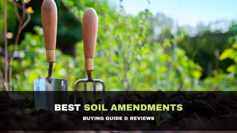 12 Best Soil Amendments 2021 - Buying Guide & Reviews