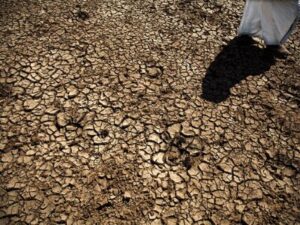 An Ultimate Guide to Soil Degradation Causes and Preventive Methods