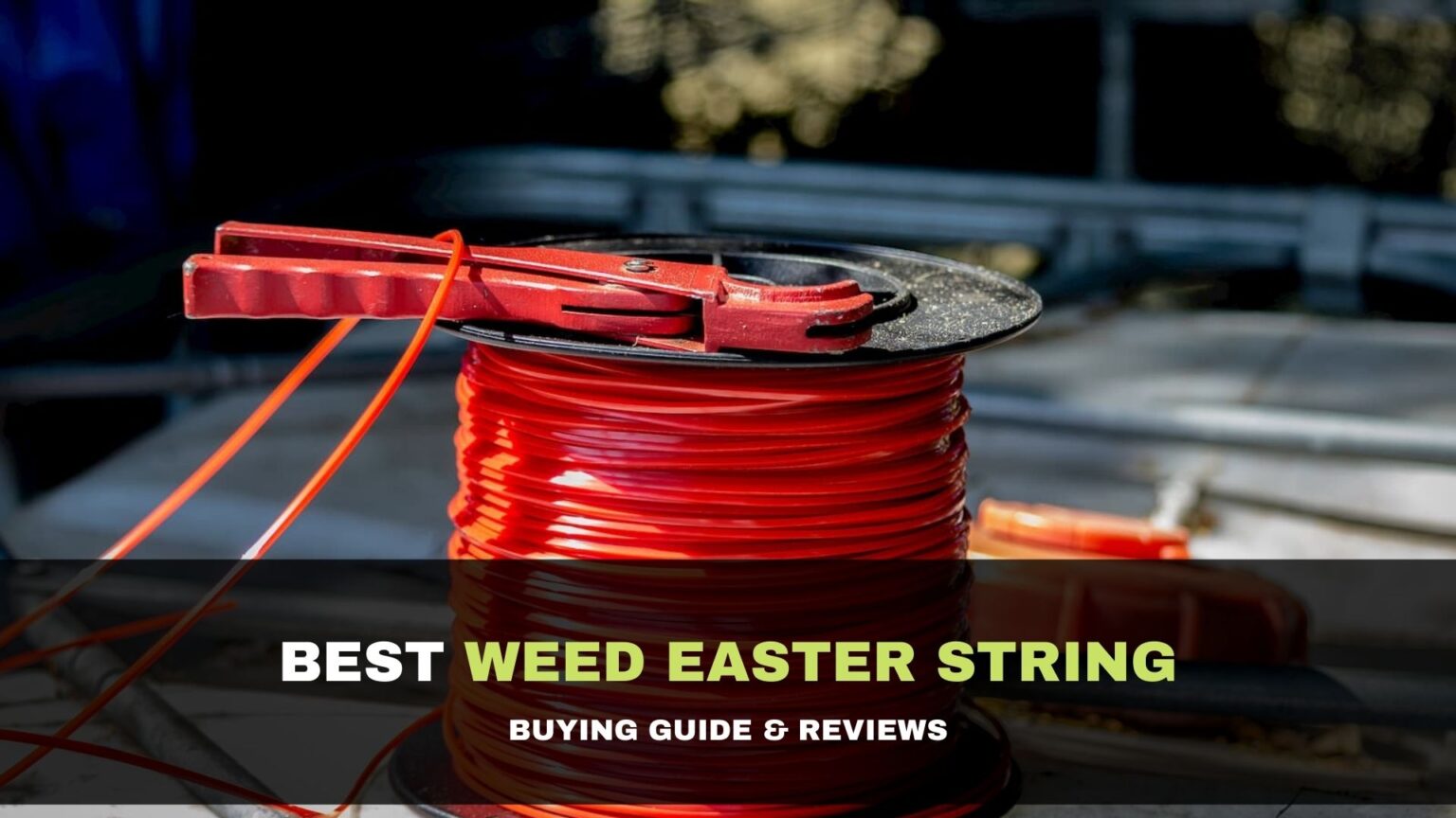 10 Best Weed Eater String 2021 - Buying Guide & Reviews