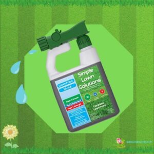 Top 12 Best Liquid Lawn Fertilizers 2024 - Quick & Effective