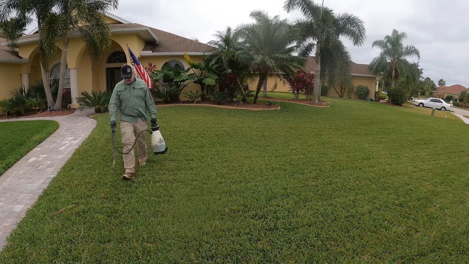 How To Get Rid of Stickers in Yard and Prevent Them Forever - Gardening ...