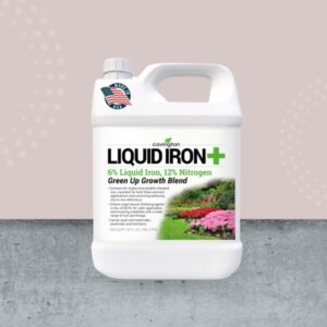 7 Best Liquid Iron For Lawns 2024 - Review and Buying Guide