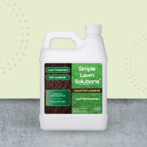 7 Best Liquid Iron For Lawns 2024 - Review and Buying Guide